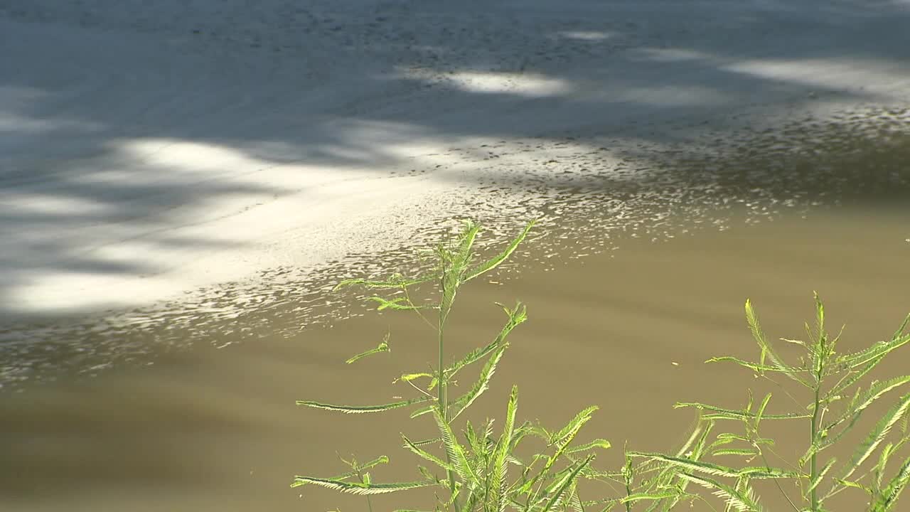 EPA warns of chemicals in creek following Garland Sherwin-Williams ...