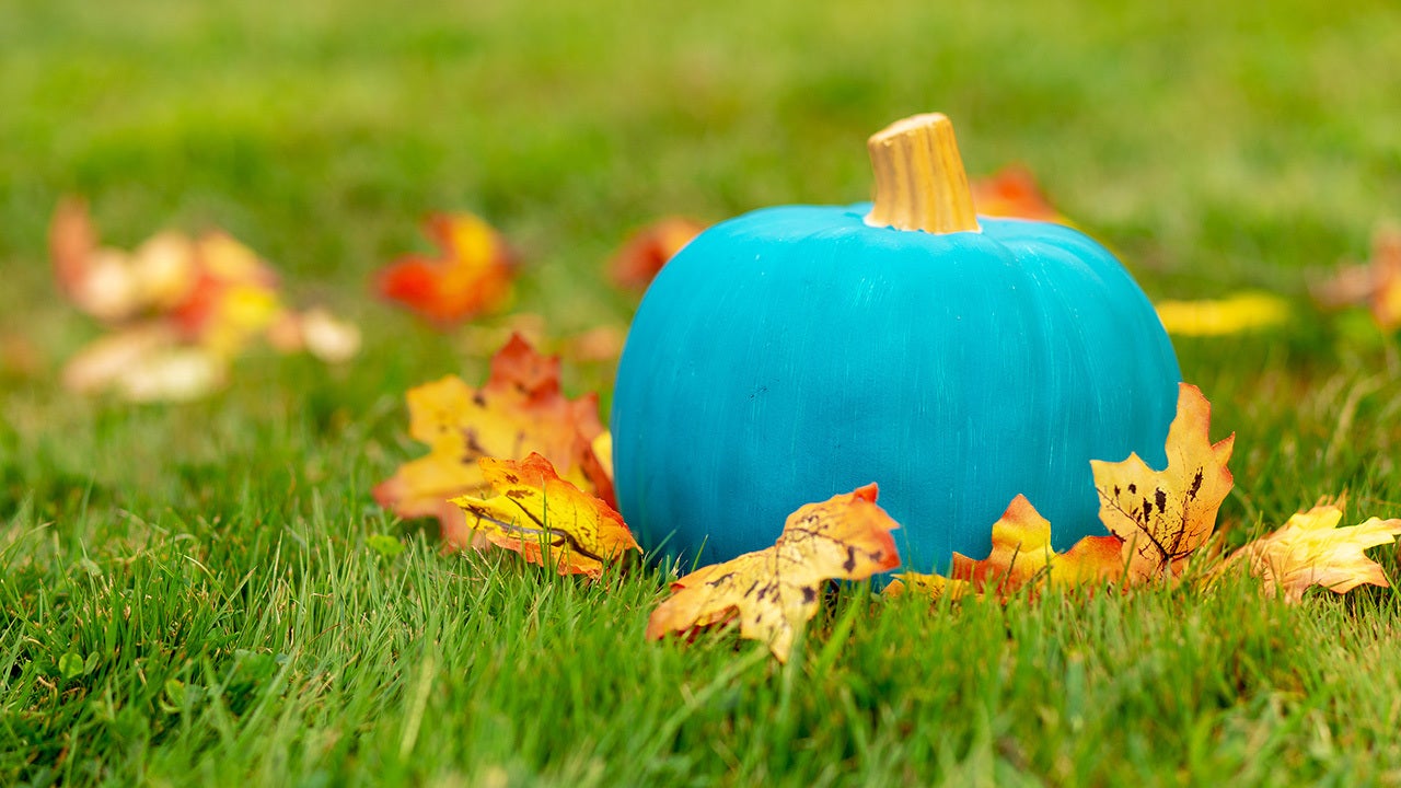Teal pumpkins on Halloween: Help trick-or-treaters with food allergies ... Teal pumpkins on Halloween: Help trick-or-treaters with food allergies ...