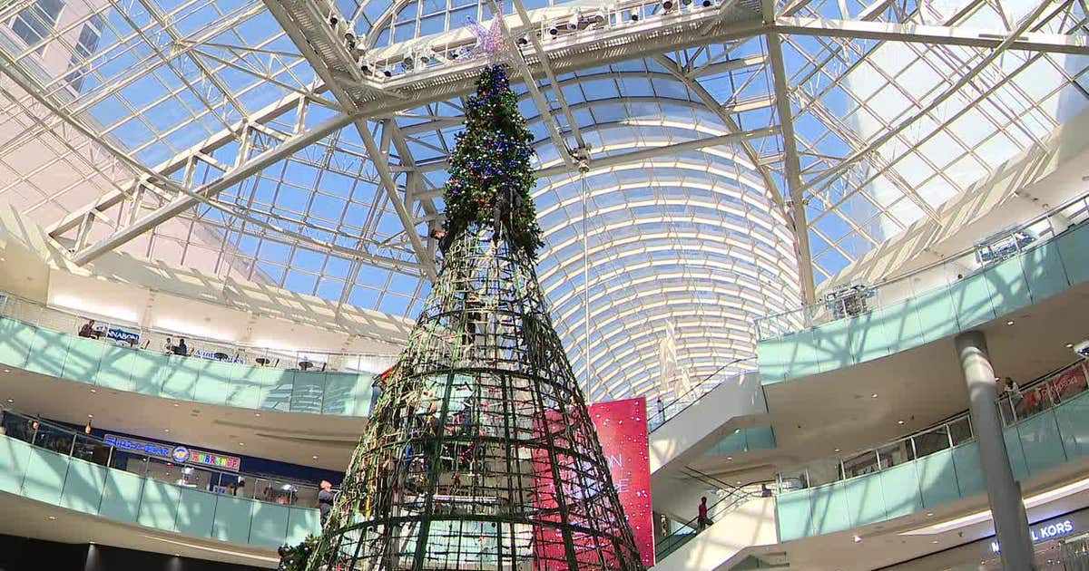 Galleria Dallas begins putting up newly-redesigned Christmas tree | FOX ...