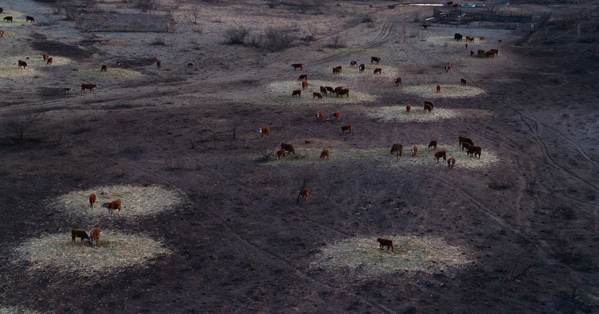 Largest wildfire in Texas history now fully contained | FOX 4 Dallas ...