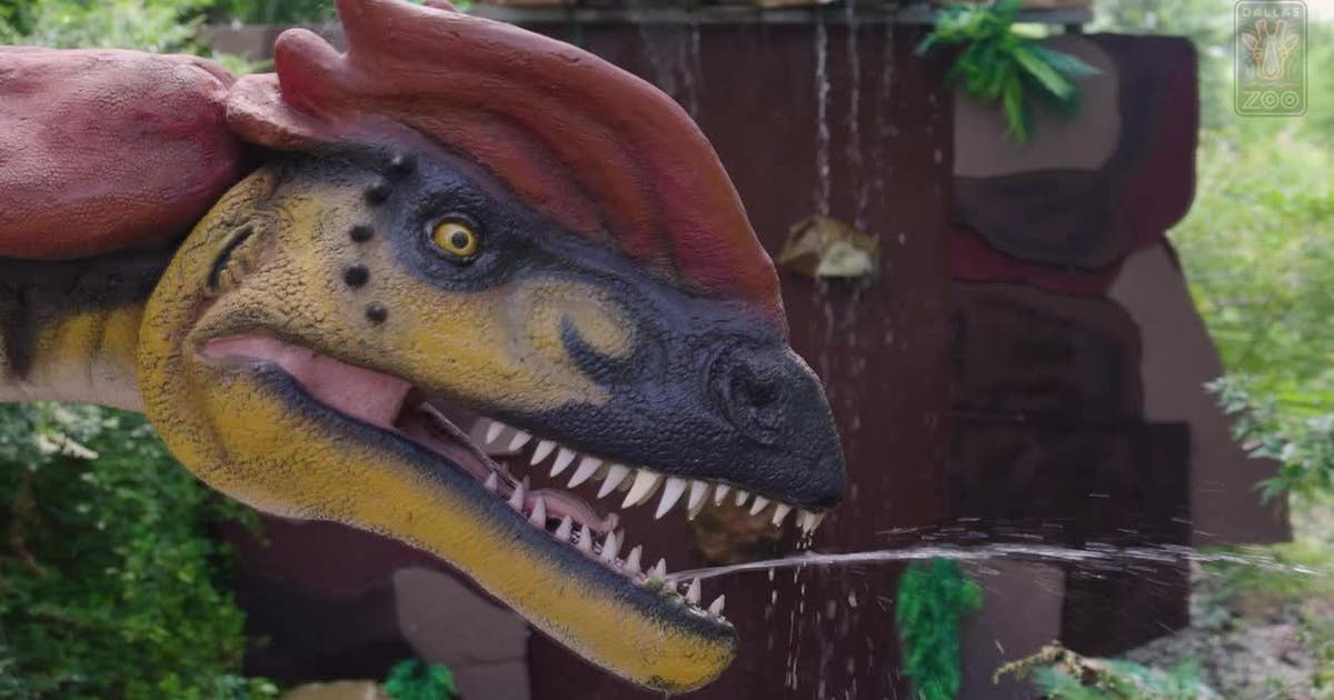 Dallas Zoo celebrates National Dinosaur Day this weekend | FOX 4 Dallas ...
