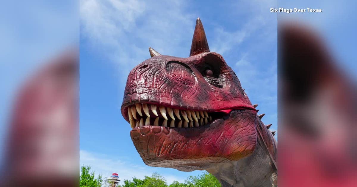 Six Flags' new Dino Off Road Adventure now open | FOX 4 Dallas-Fort Worth