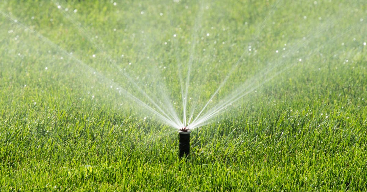 Mandatory watering restrictions issued for McLendon-Chisholm | FOX 4 ...