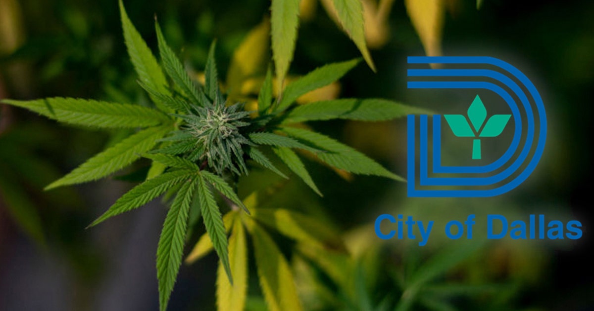 Dallas to vote on ending arrests, citations for small amounts of ...