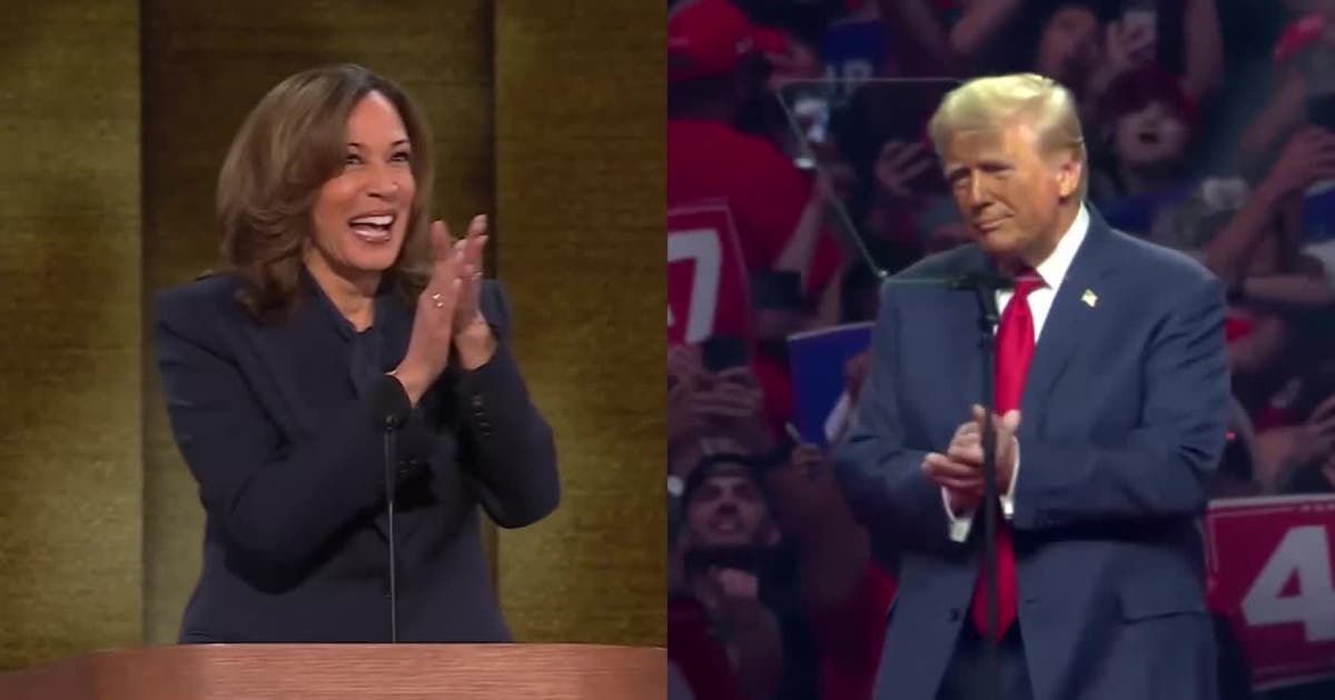 Donald Trump leads Kamala Harris by 5 points in Texas, poll shows | FOX ...