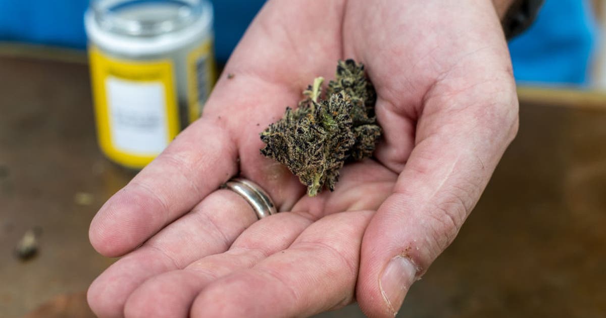 North Texas police chief says Abbott's THC age limit doesn't address ...