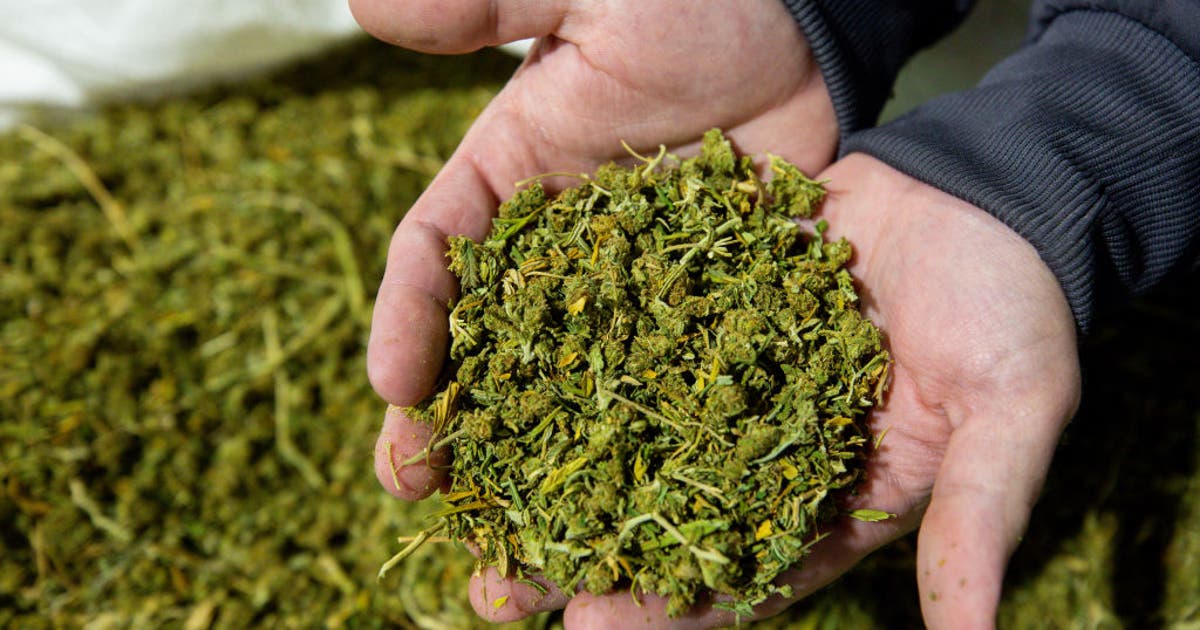 Recreational marijuana is illegal in Texas, so why are THC products on ...