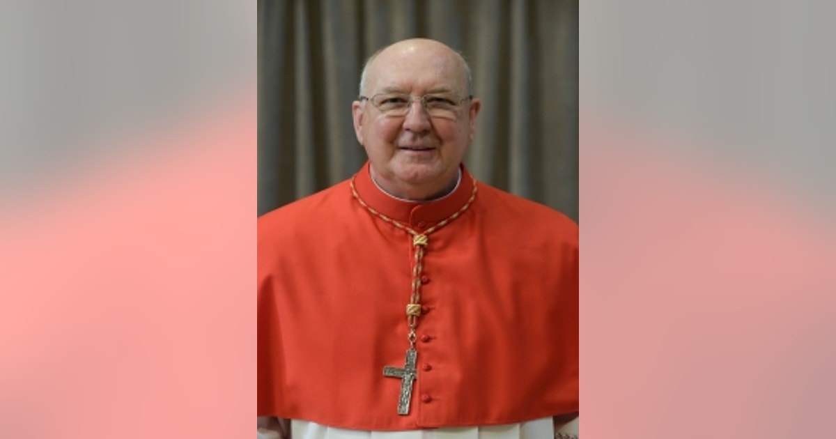 Cardinal Kevin Farrell, former Dallas Bishop, to lead Catholic Church ...