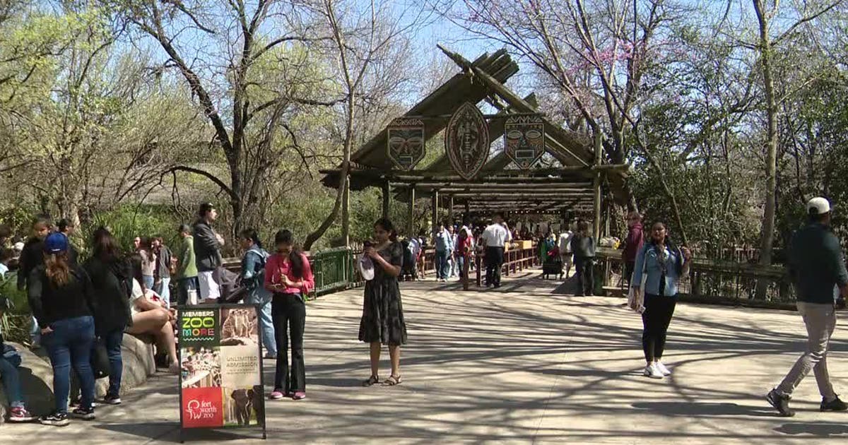 Fort Worth Zoo half-price day during spring break | FOX 4 Dallas-Fort Worth