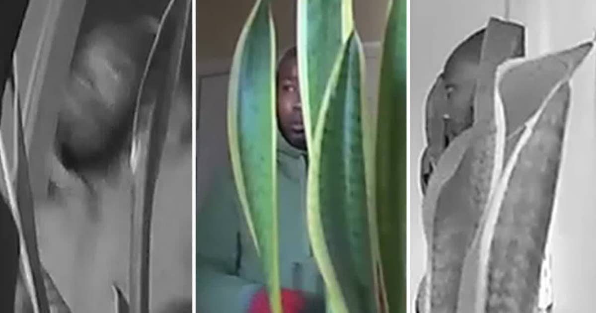 Trackdown: Burglar targets senior citizens in Mesquite | FOX 4 Dallas ...