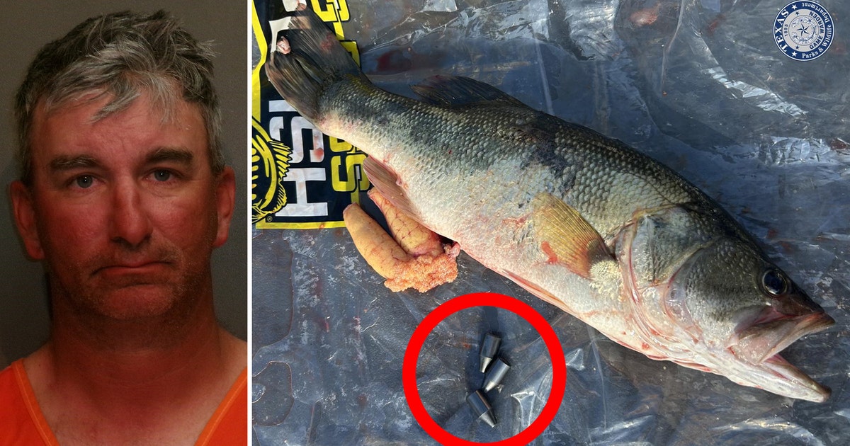 Angler arrested after getting caught cheating during North Texas ...