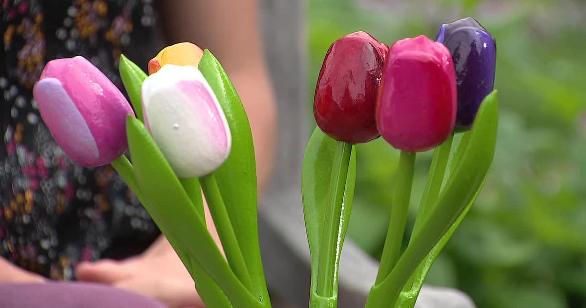 FIFA World Cup: Dallas Arboretum pays tribute to Dutch team with flower ...
