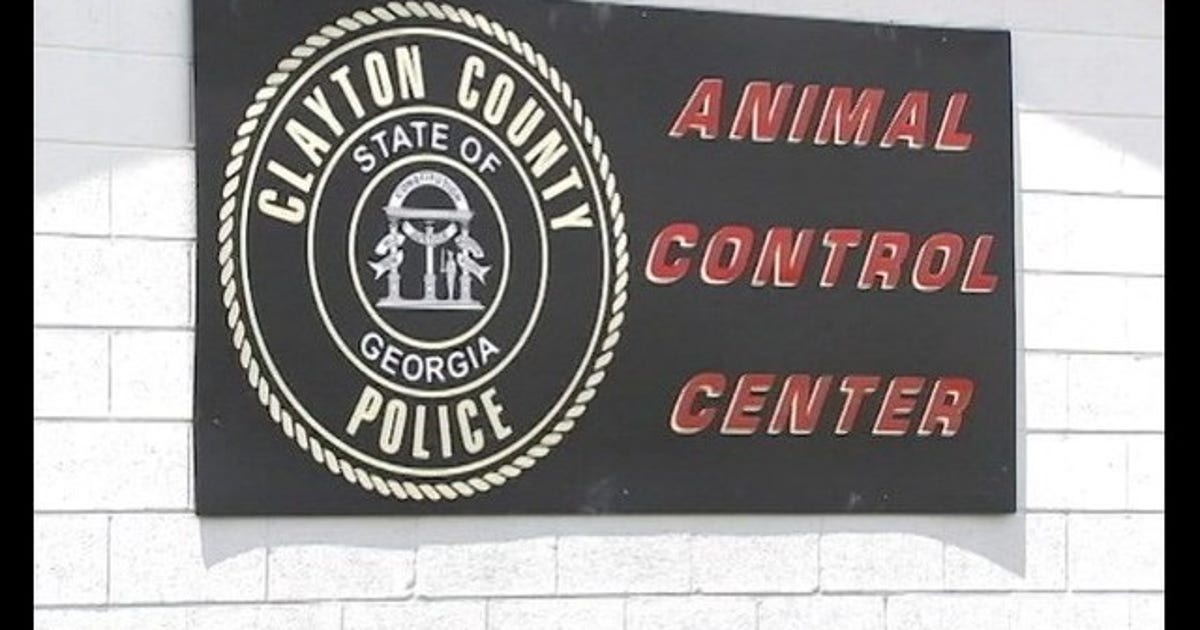 Possible health risk at Clayton Co. Animal Control | FOX 5 Atlanta