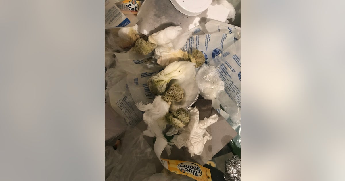 Trill Treats owner to spend two days a week in jail | FOX 5 Atlanta