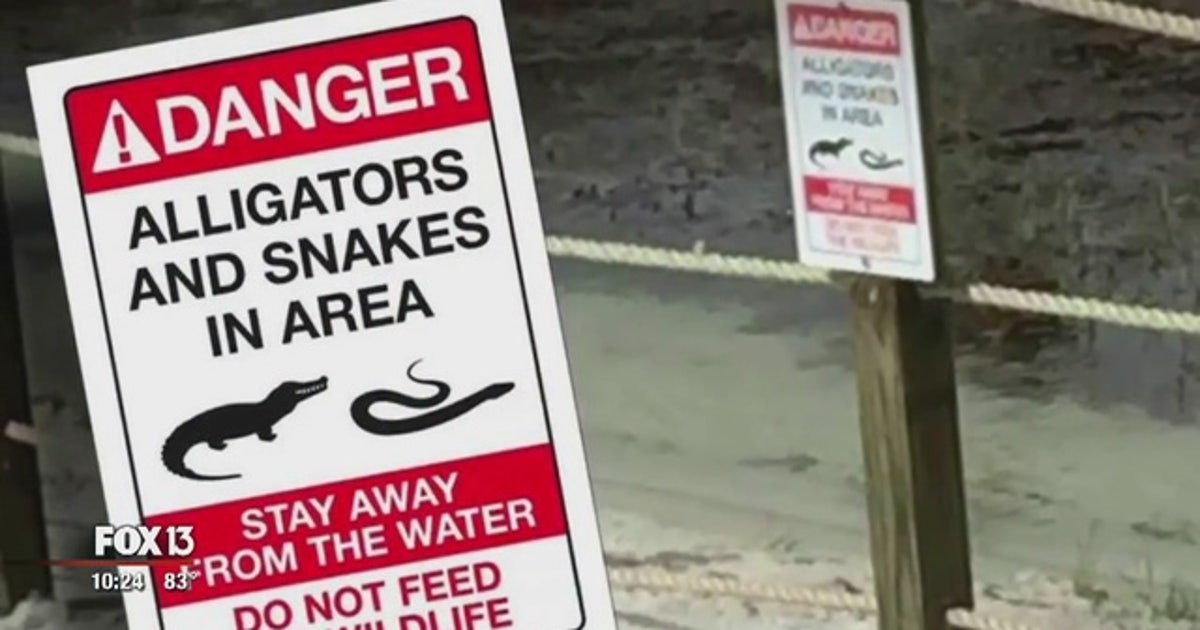 Alabama town mulls how to stop gator-feeding at city park | FOX 5 Atlanta