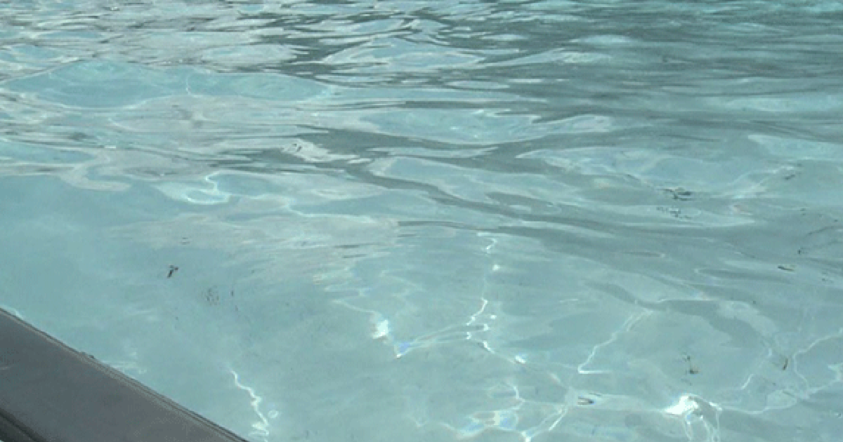 2-year-old dies after drowning in Roswell apartment pool | FOX 5 Atlanta