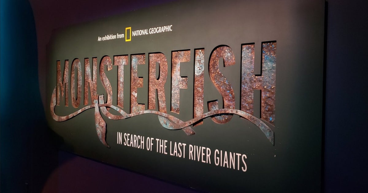 Fernbank Museum lures 'Monsters' for new exhibit | FOX 5 Atlanta