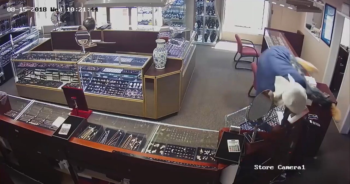 Police: 'Gold grabber' steals chains from St. Pete jeweler | FOX 5 Atlanta