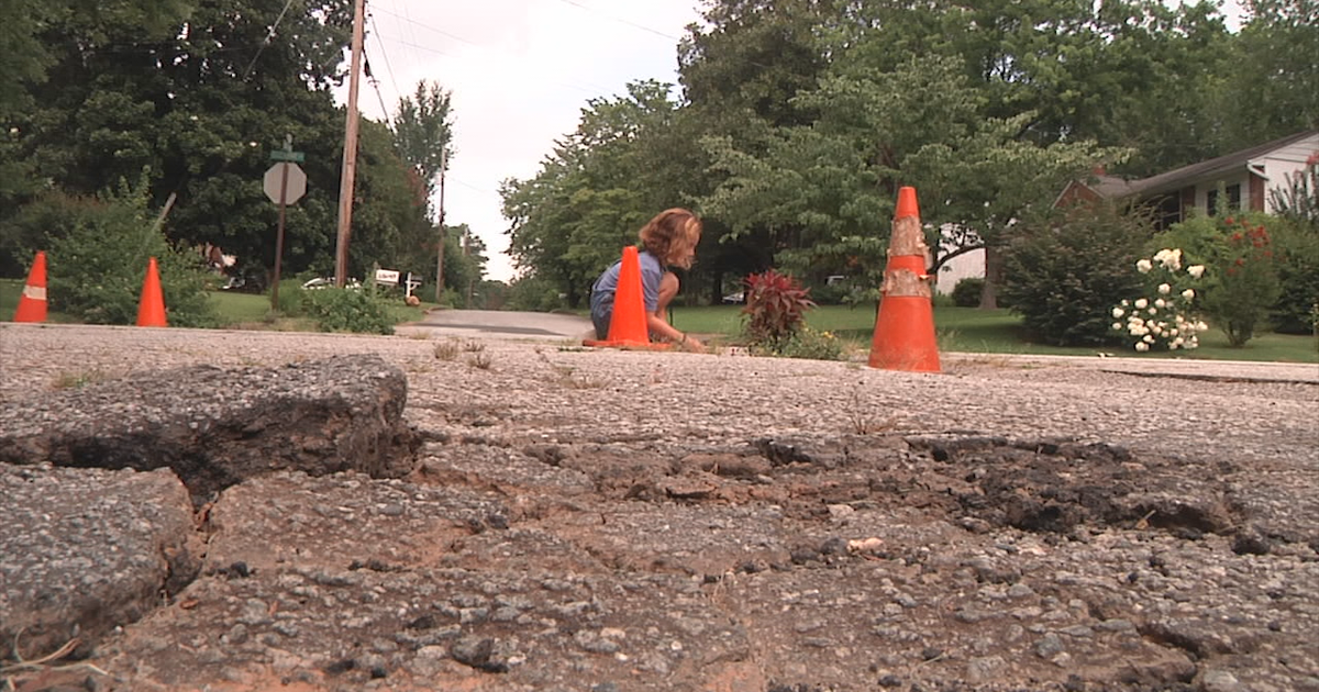 Medlock Park neighbors tired of potholes fill them with flowers | FOX 5 ...