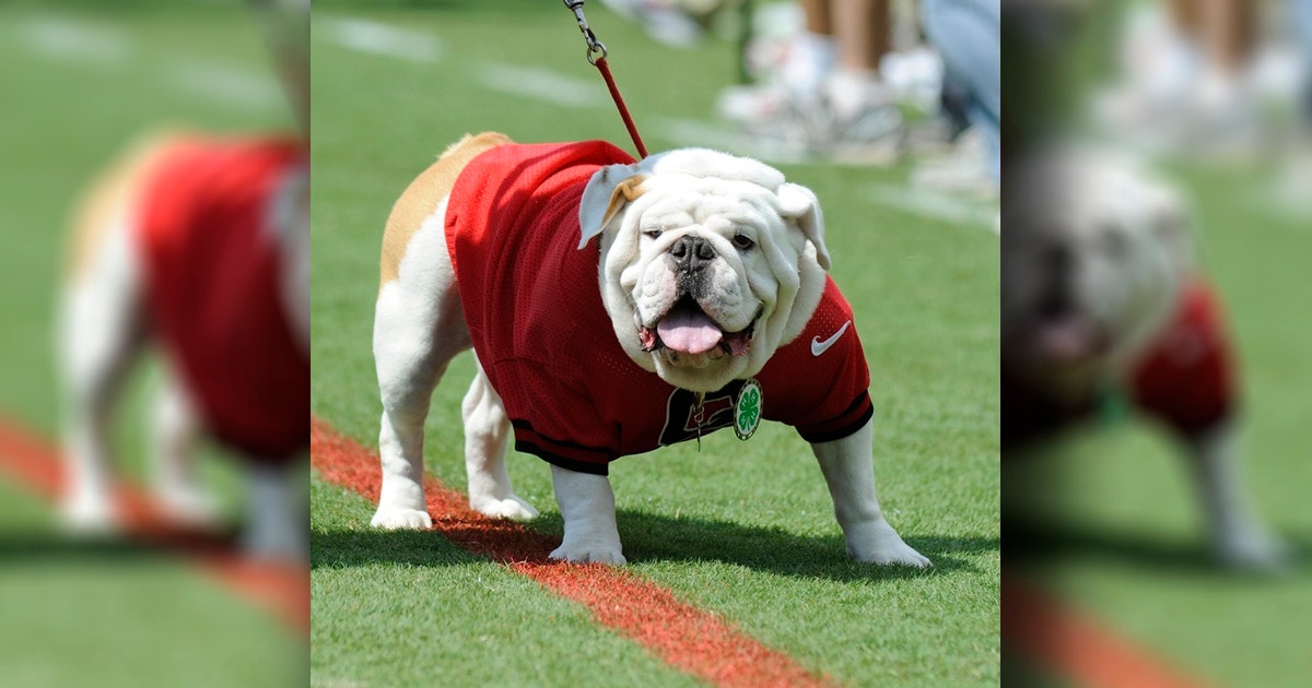 Uga IX Passes Away | FOX 5 Atlanta