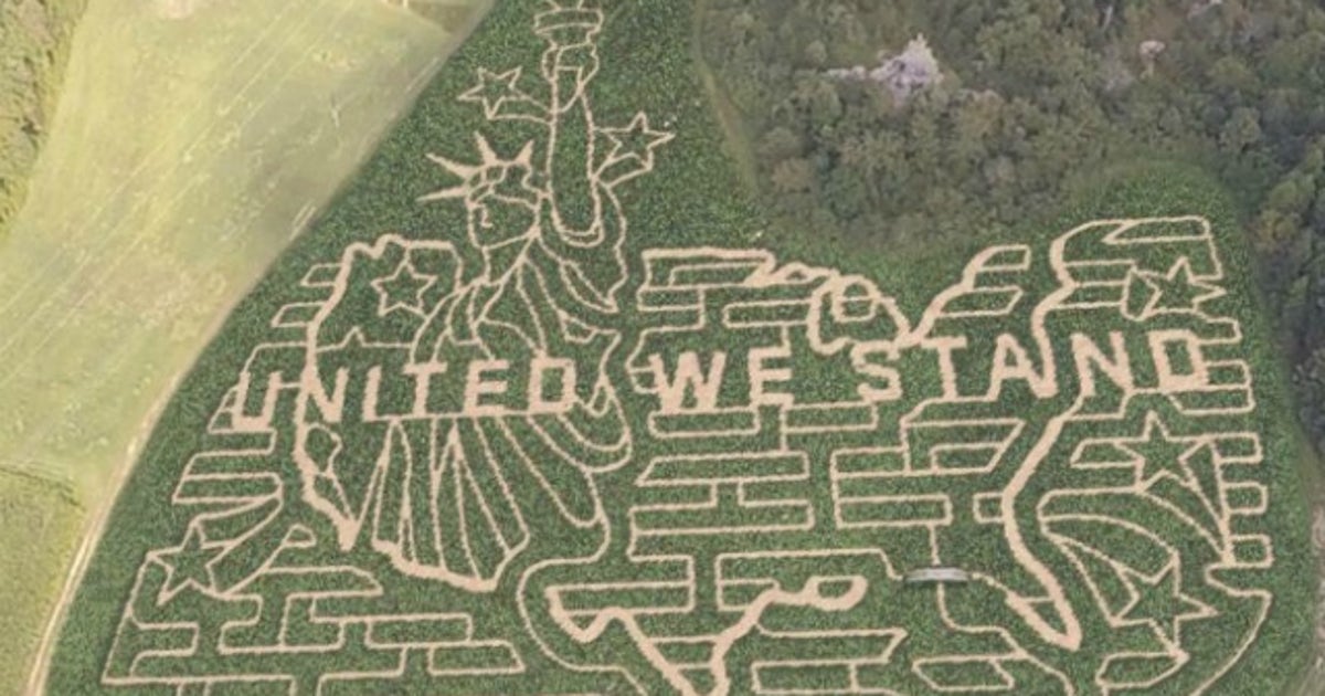 Family farm celebrates fall with 7-acre corn maze | FOX 5 Atlanta