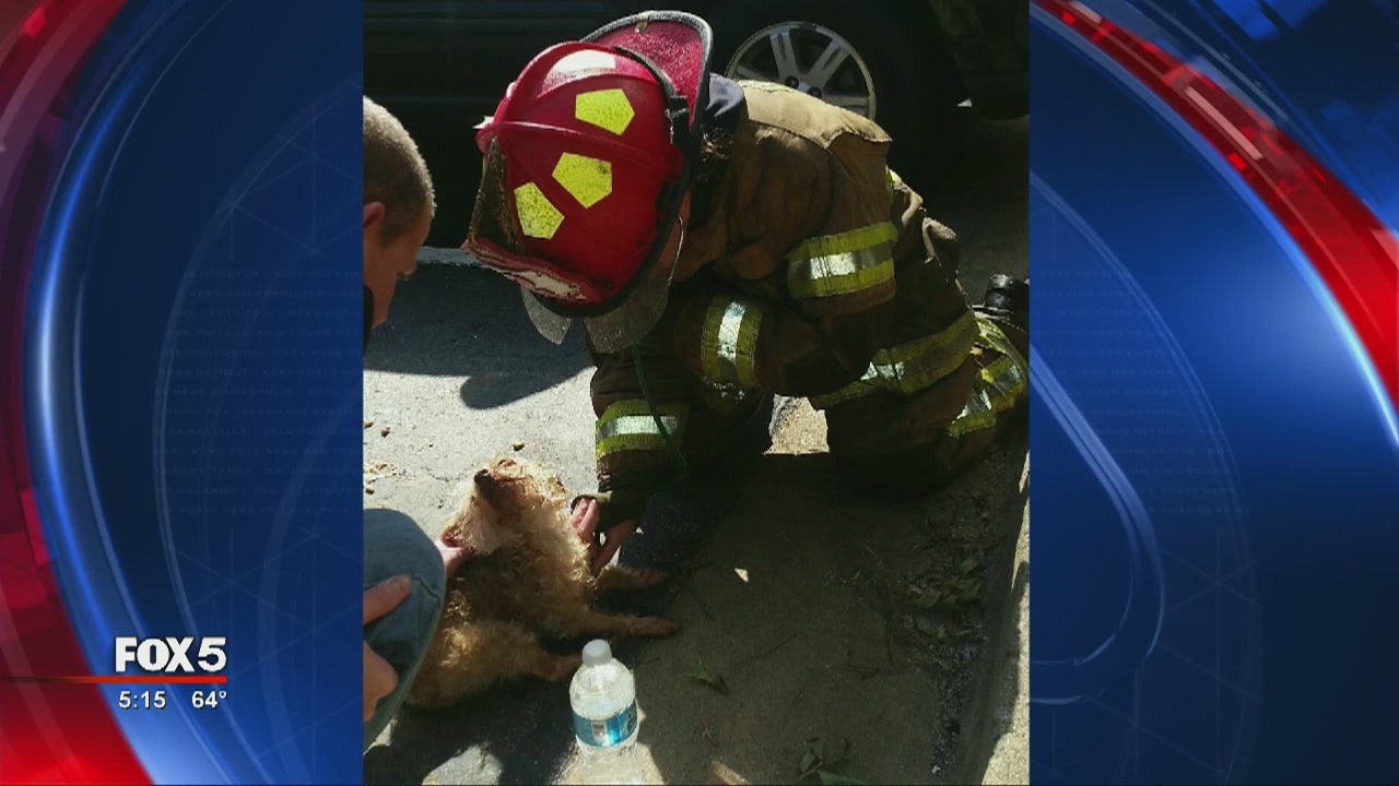 Brookhaven apartment fire still under investigation | FOX 5 Atlanta
