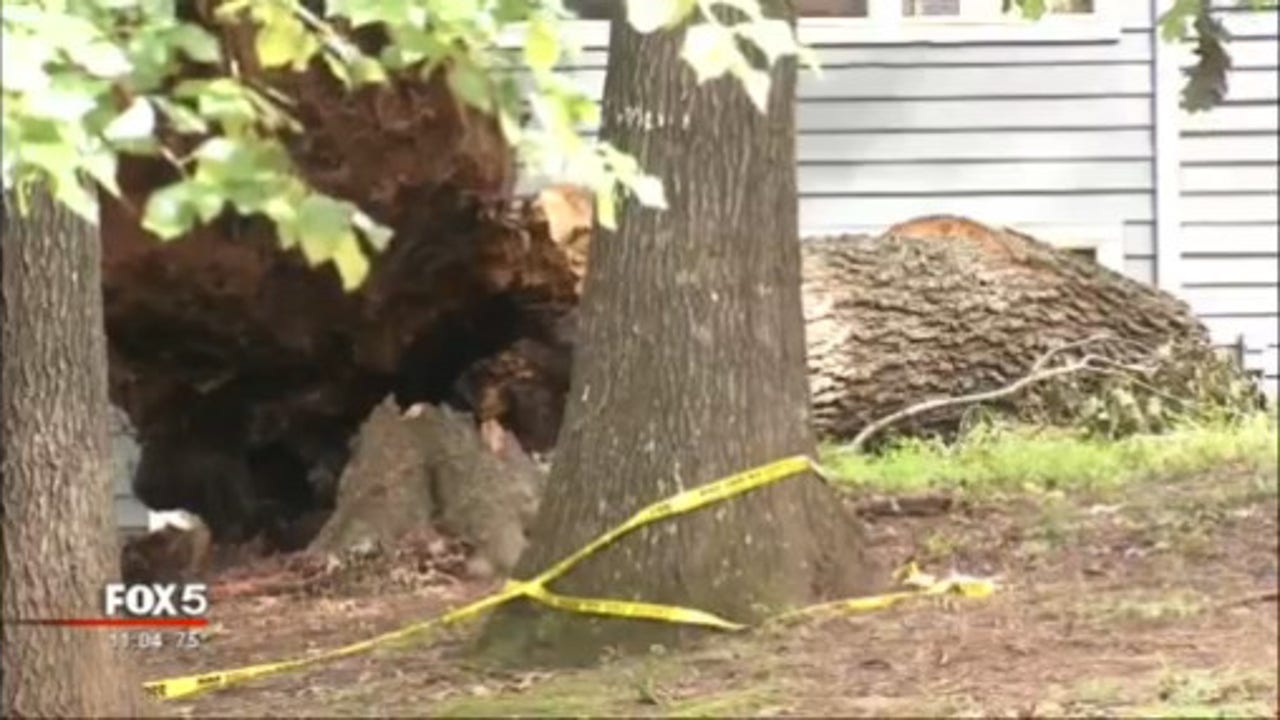 Families remain in the dark after tree falls on apartment | FOX 5 Atlanta