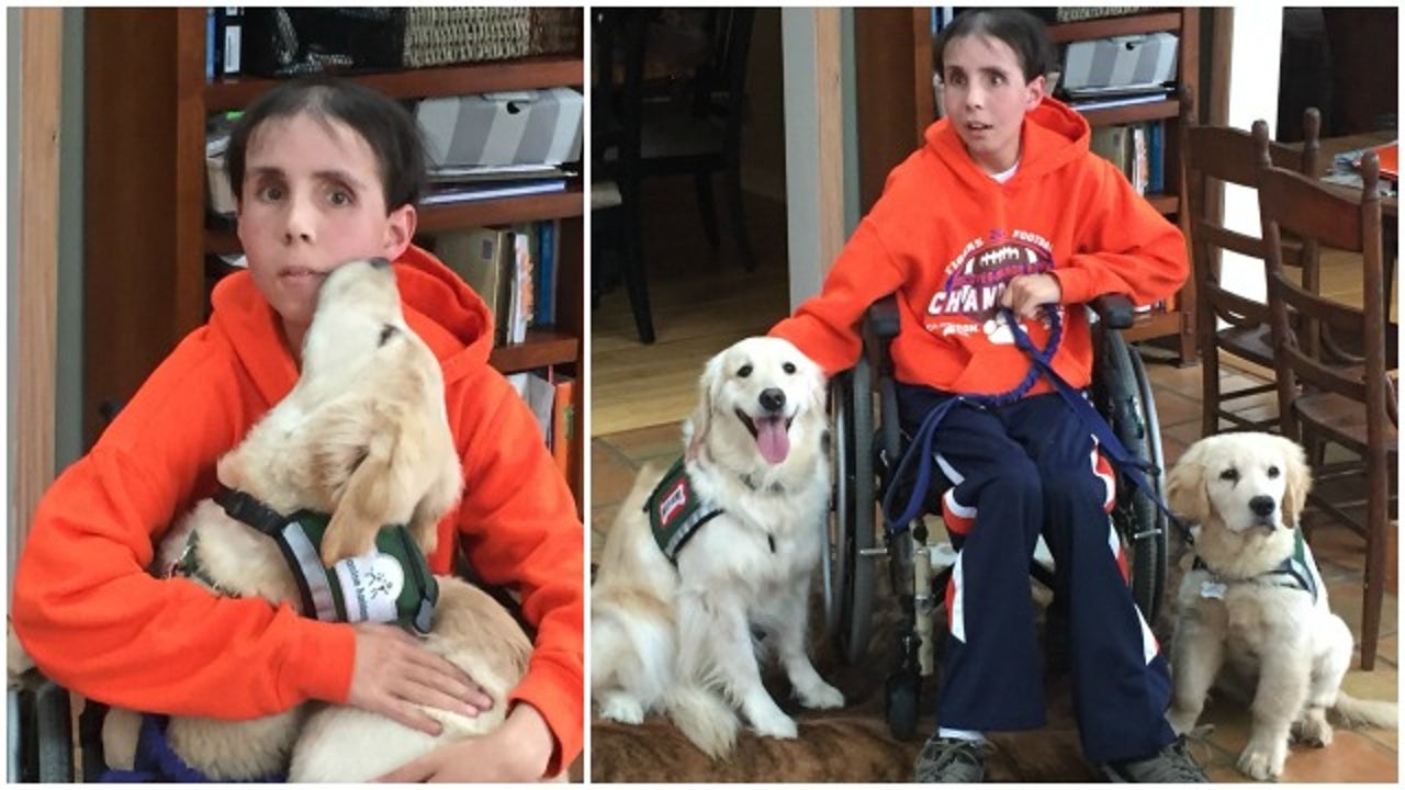 Max meets Canine Assistants recipient and his beloved service dog | FOX ...