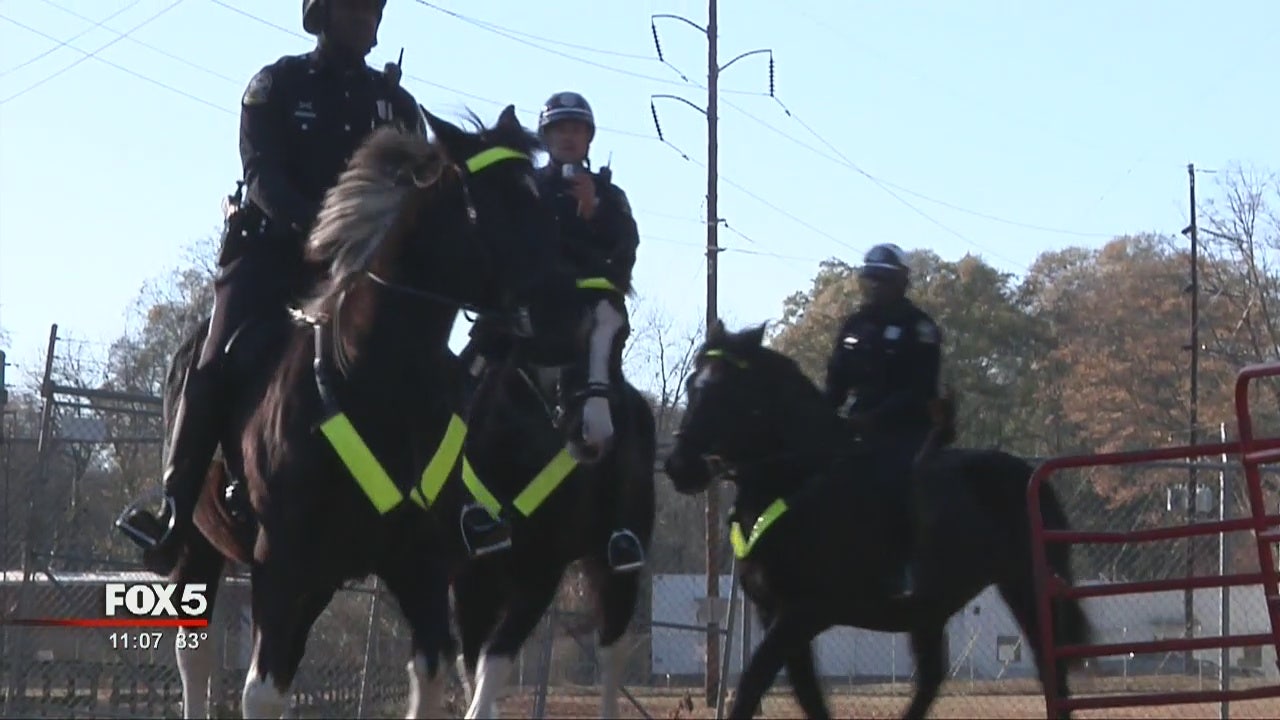 Four robbers chased down by mounted patrol | FOX 5 Atlanta