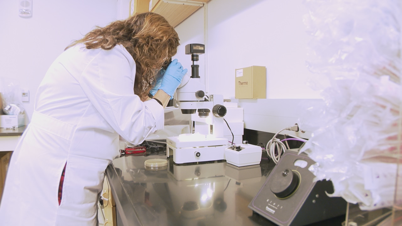 With sexually transmitted infections on the rise, Georgia State ...