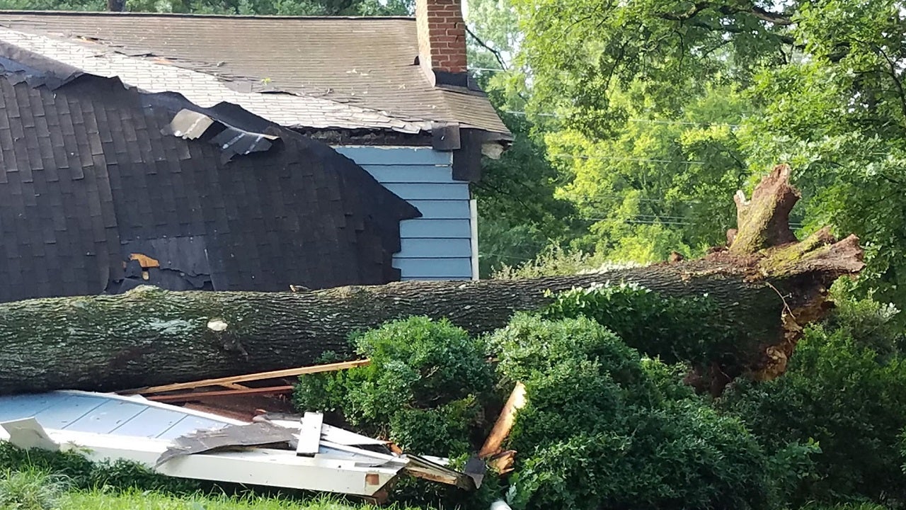 Storms Thursday leave behind downed trees, power lines, damage | FOX 5 ... Storms Thursday leave behind downed trees, power lines, damage | FOX 5 ...