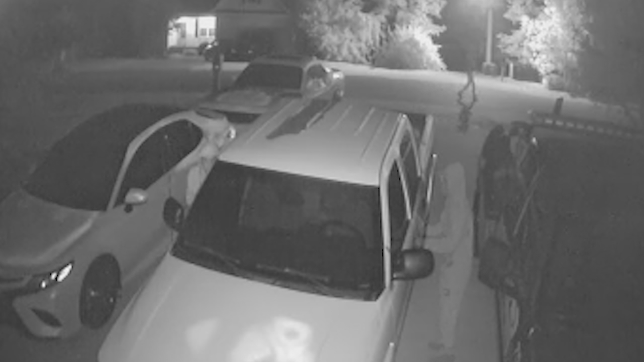 Deputies: Suspected gang members committed crimes across Georgia | FOX ...