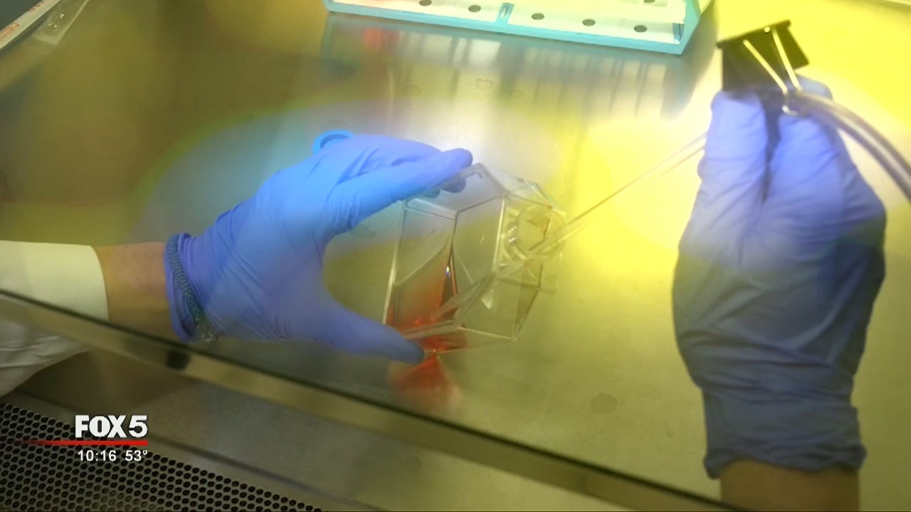 CDC: Patients hospitalized because of contaminated umbilical cord blood ...