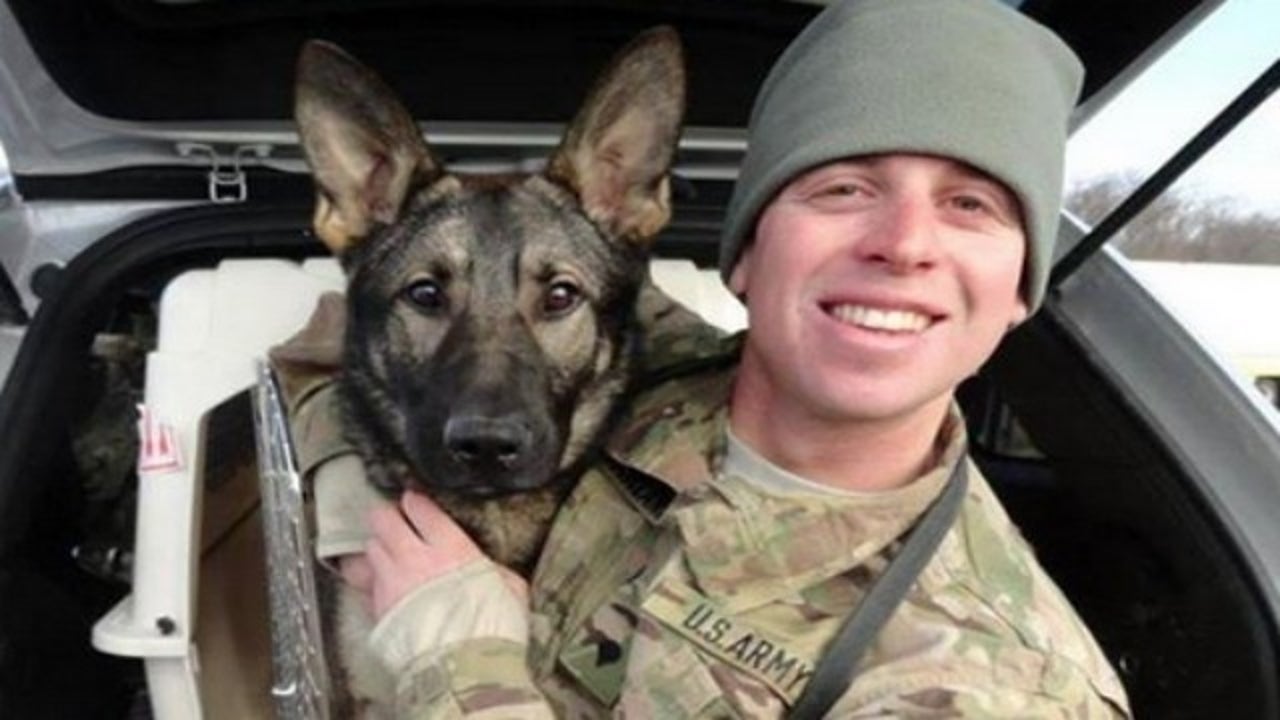 Rescuing and rehabilitating retired war dogs | FOX 5 Atlanta