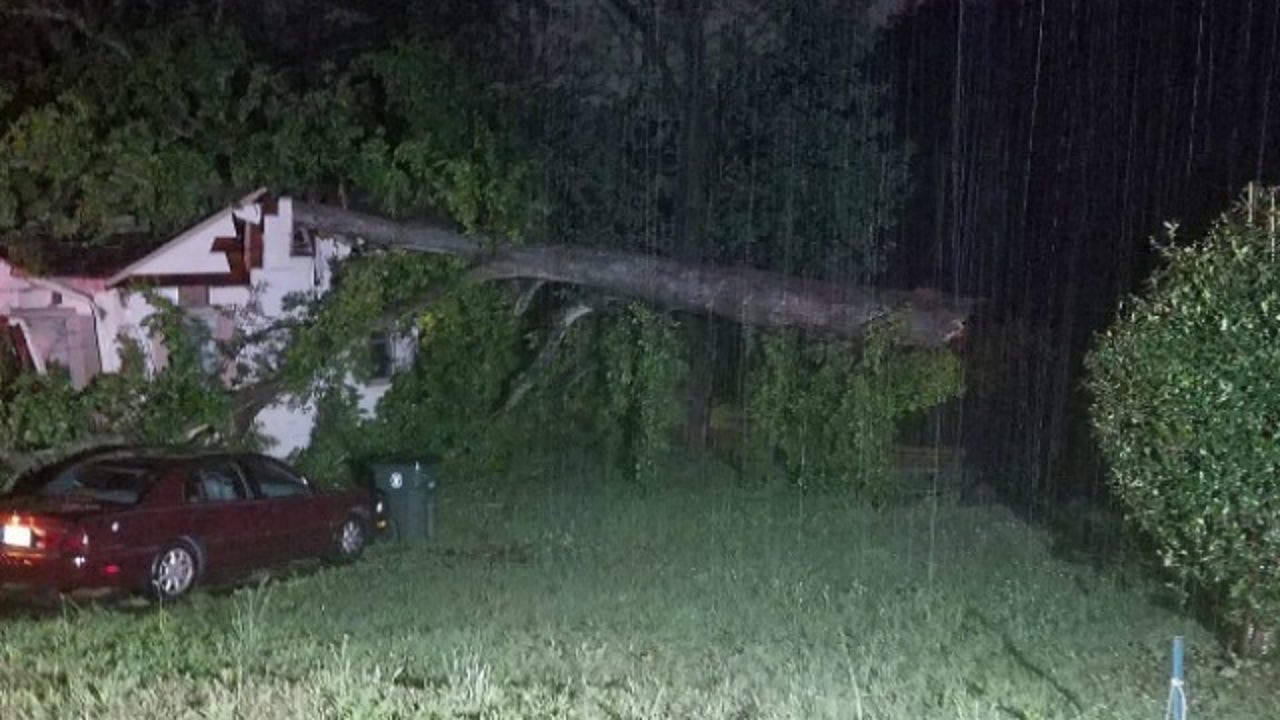 Large tree topples on Chamblee home | FOX 5 Atlanta