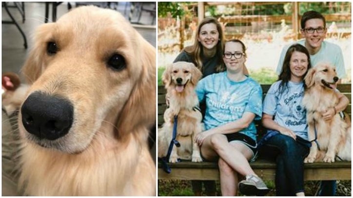 CHOA welcomes two new therapy dogs | FOX 5 Atlanta