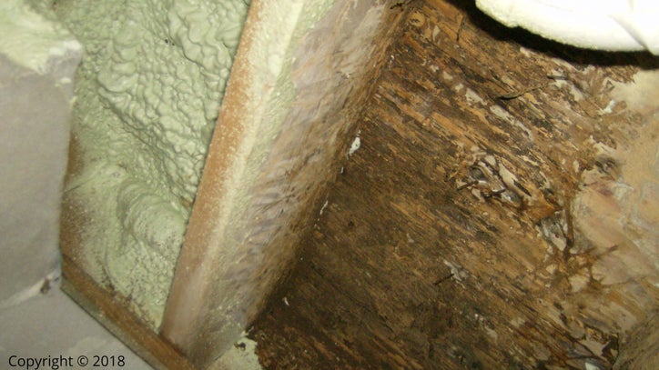Homes ravaged by termites hidden behind spray foam insulation | FOX 5 ...