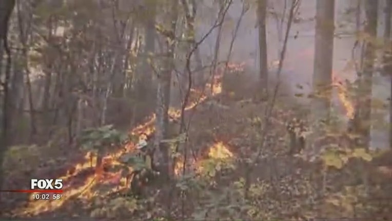 Firefighters from across US battle Appalachian wildfires | FOX 5 Atlanta
