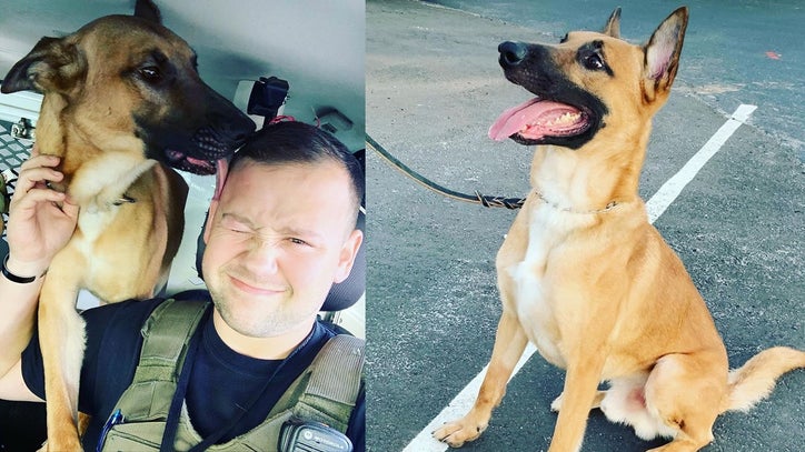 Lawrenceville police introduce newest officer | FOX 5 Atlanta