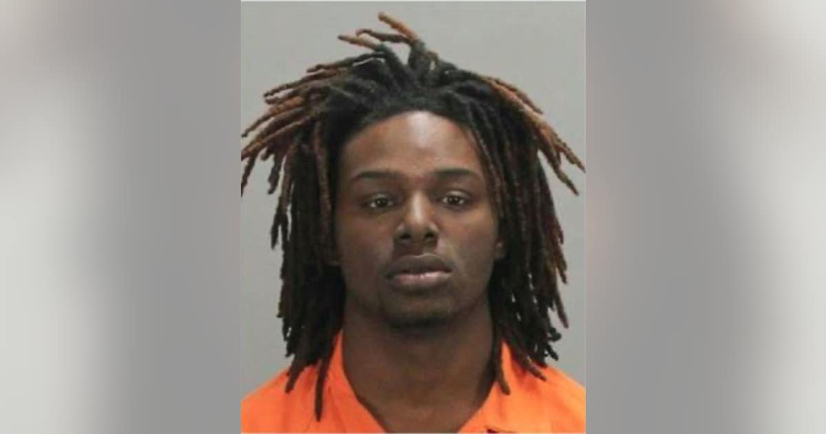 Sheriff: Georgia man recorded himself pointing gun at police officer ...