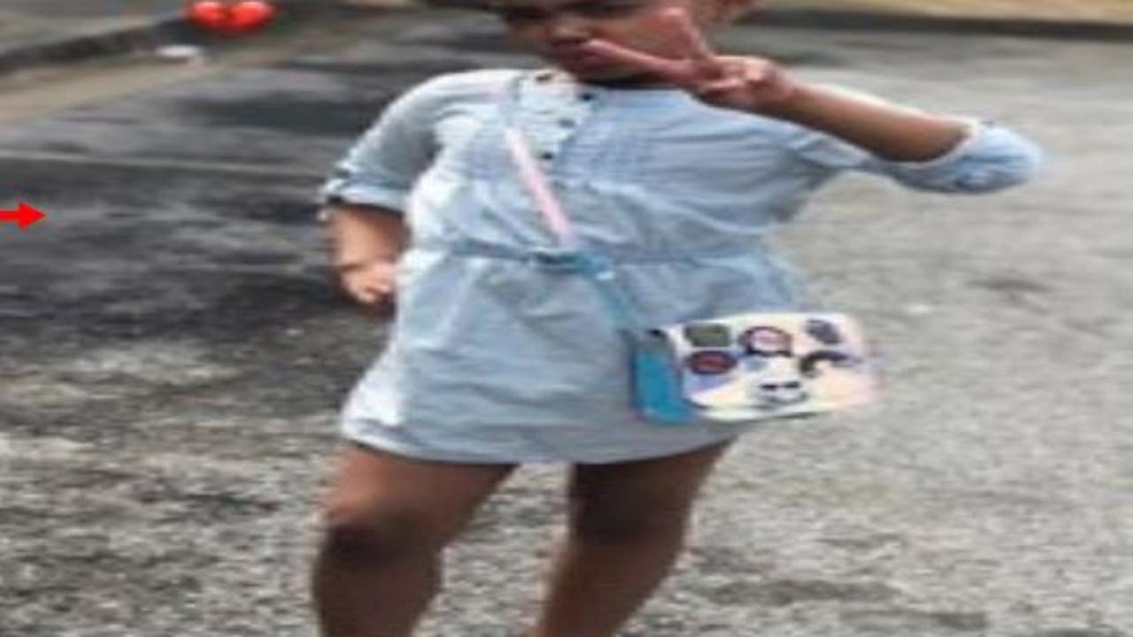 Police identify 8-year-old girl killed in Atlanta 4th of July shooting ...