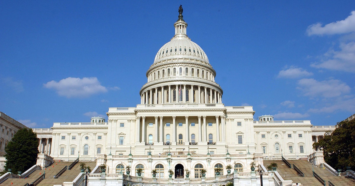 2020 election: Here are the House races to watch | FOX 5 Atlanta