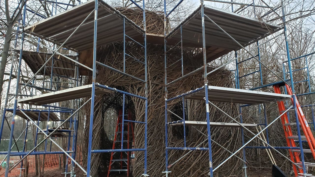 Here’s the story behind that massive installation at Georgia Tech | FOX ...