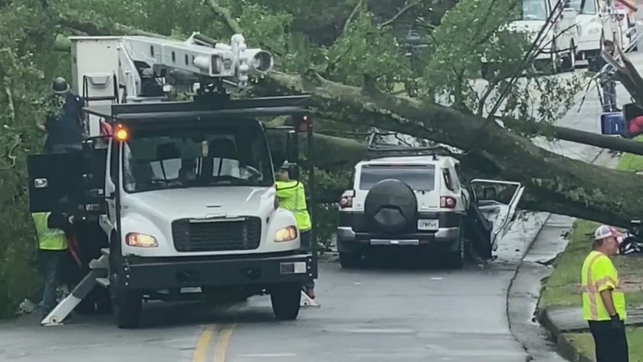 Tree falls on car, kills driver, officials say