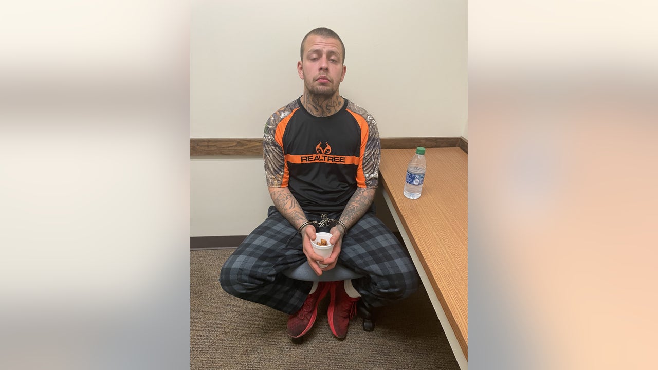Georgia man accused of shooting 2 deputies is arrested following 5-day ...