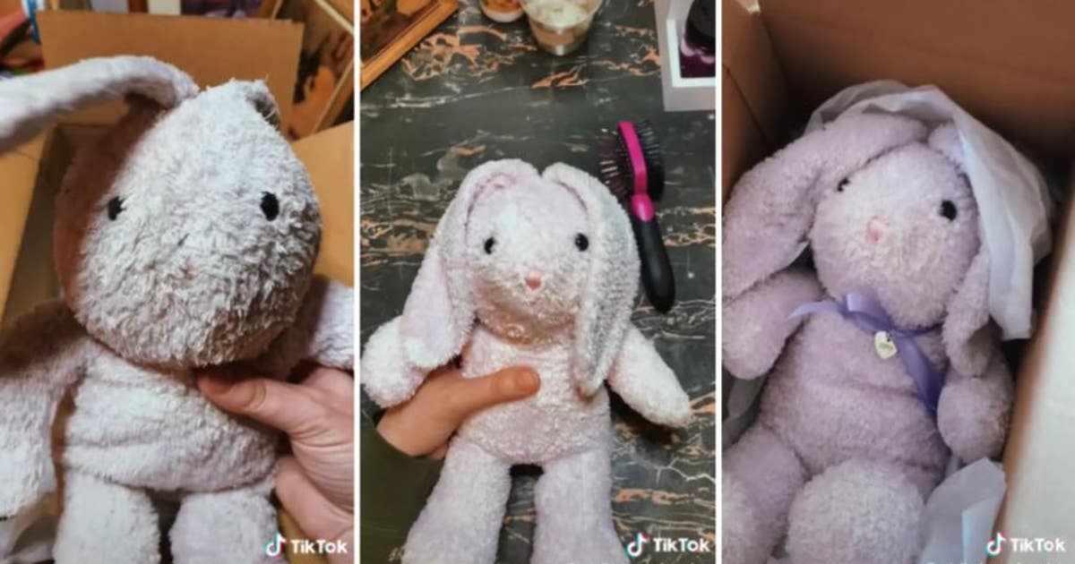 Woman finds lost stuffed bunny and wants to locate its owner: 'Looks ...