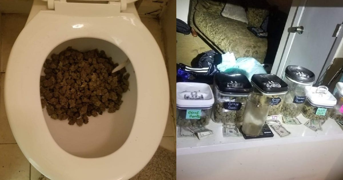 Police: Clayton County suspects caught trying to flush marijuana down ...