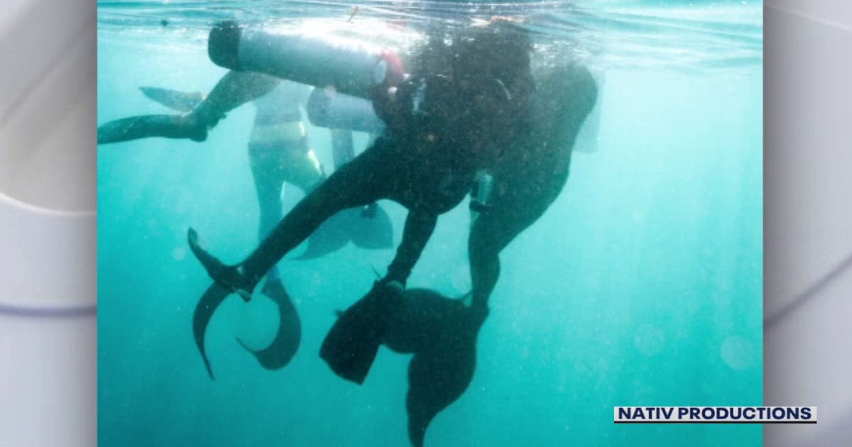 Scuba diver rescued by group of women in mermaid costumes off Catalina ...