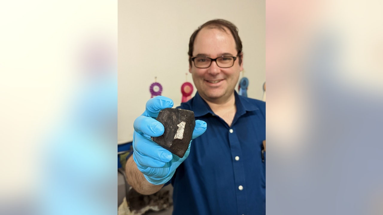 Tellus Science Museum adds rare recently fallen Georgia meteorite to ...