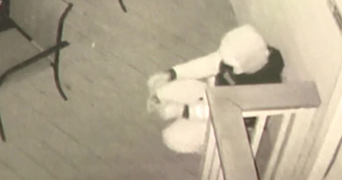 Money, alcohol, and safe, stolen; Police believe the thief has done it ...